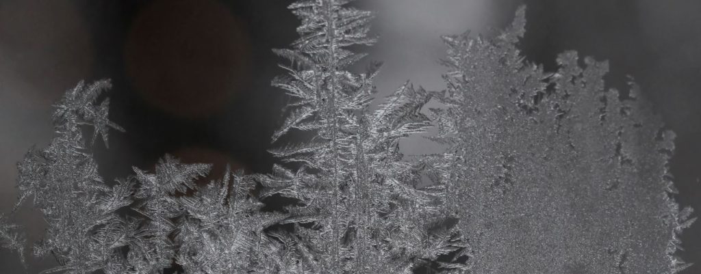 Insurance Agency | WaFd Insurance Group, Inc.